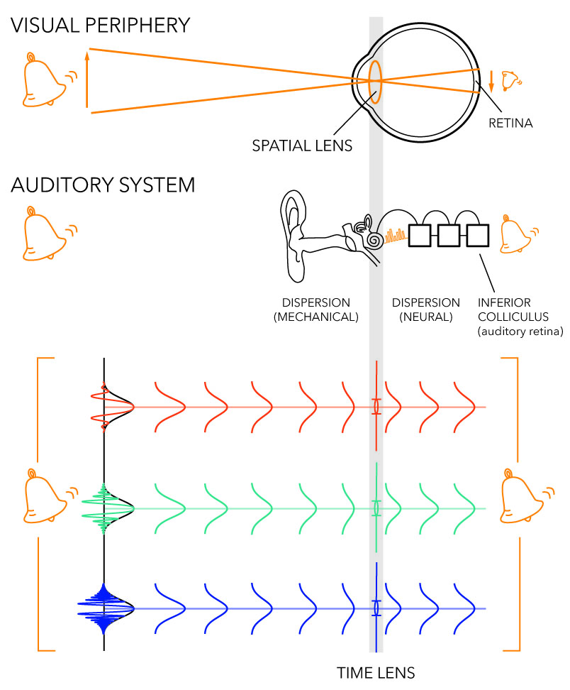 Paratonal - The Temporal Auditory Imaging Theory